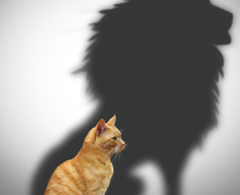 Life at FNB | Careers | FNB