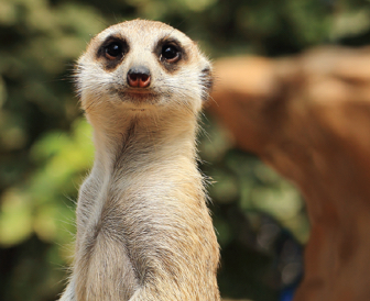 Life at FNB | Careers | FNB